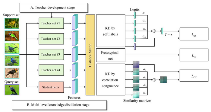 Teachers Cooperation Team Knowledge Distilla Eurekalert