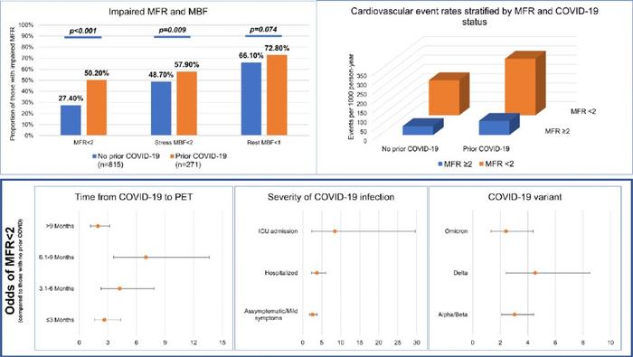 Patients with prior COVID have [IMAGE] | EurekAlert! Science News Releases