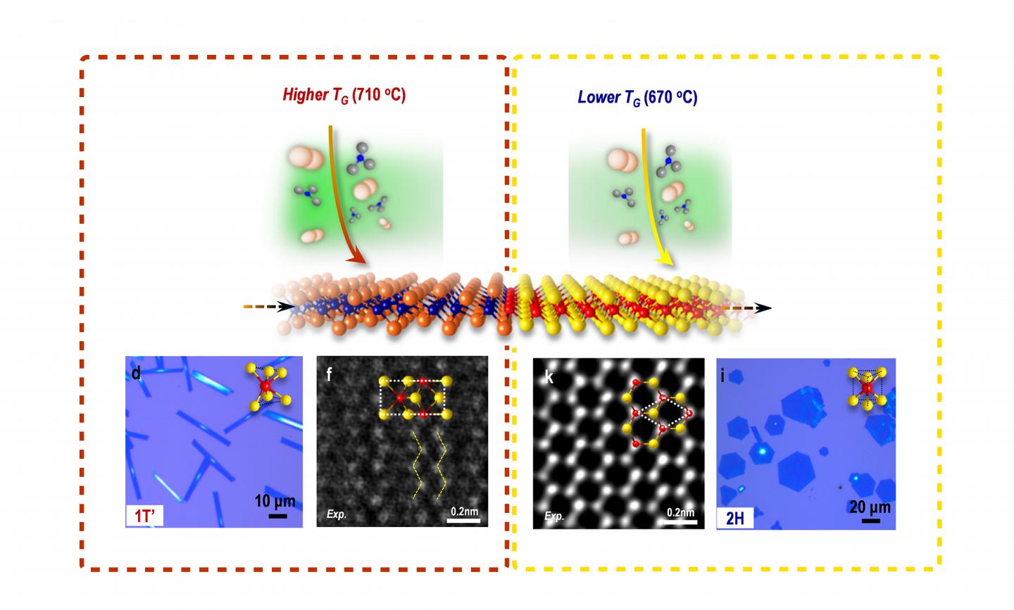 Molybdenum Telluride (MoTe2) P [IMAGE] | EurekAlert! Science News Releases