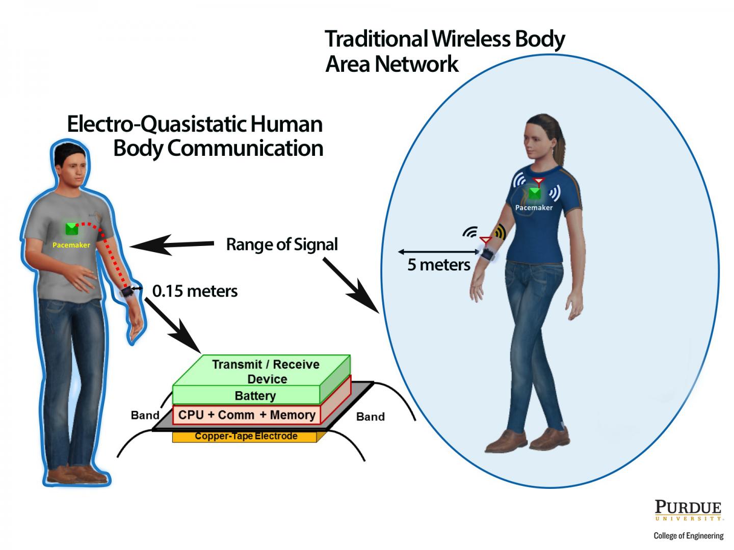 Covert Body Area Network [IMAGE] | EurekAlert! Science News Releases