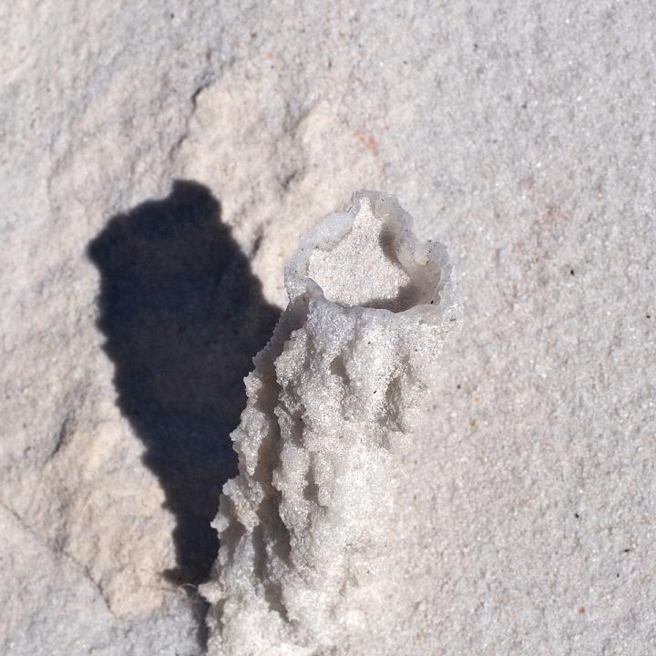 Fulgurite [IMAGE] | EurekAlert! Science News Releases