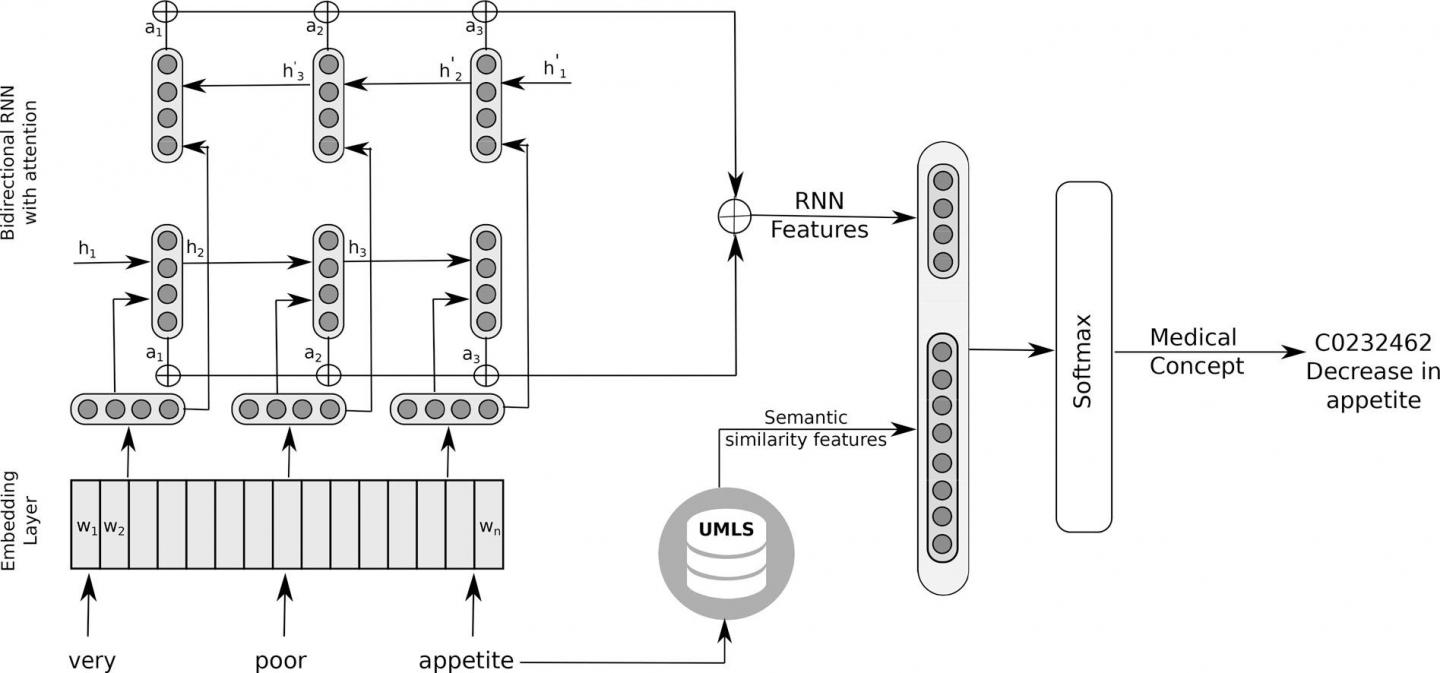 Artificial neural network now capable of find | EurekAlert!