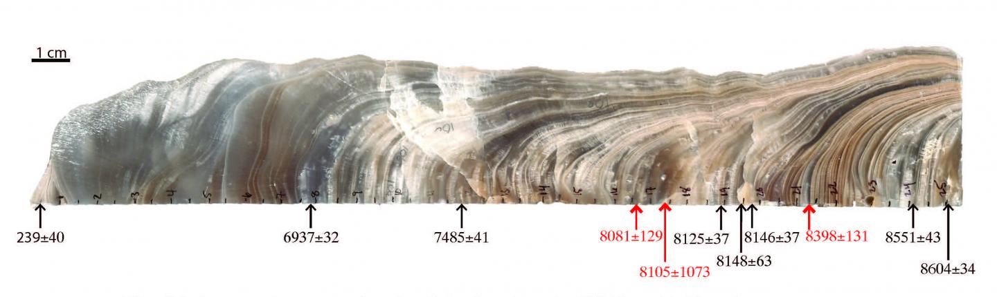 White Moon Cave Stalagmite Qua [IMAGE] | EurekAlert! Science News Releases