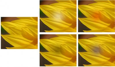 Subtle Gaze Direction [IMAGE] | EurekAlert! Science News Releases