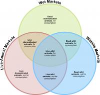 A better understanding of 'wet markets' is ke | EurekAlert!