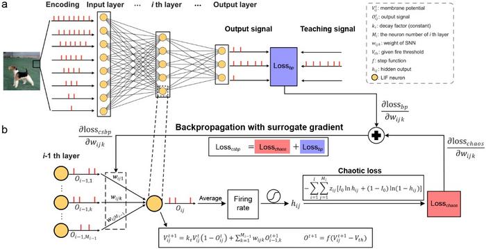 Schematic diagram of the CSBP [IMAGE] | EurekAlert! Science News Releases