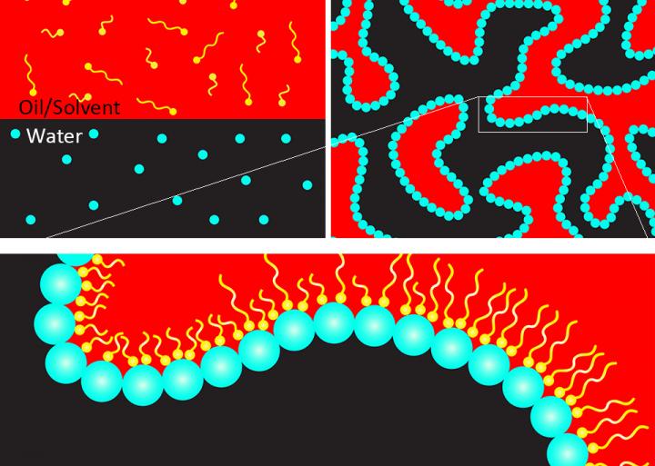 Bijel Schematic [IMAGE] | EurekAlert! Science News Releases