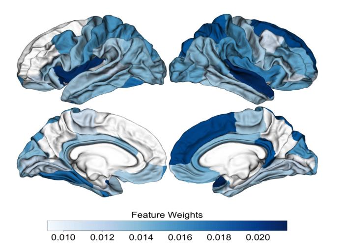 Important regions of the brain [IMAGE] | EurekAlert! Science News Releases