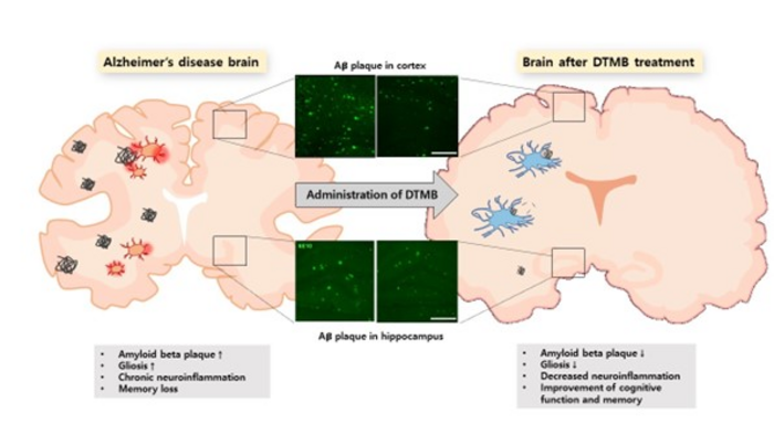 Can the protein that defeats metabolic diseas | EurekAlert!
