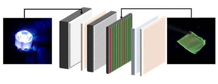 Ecological and Cheap Bio-displ [IMAGE] | EurekAlert! Science News Releases