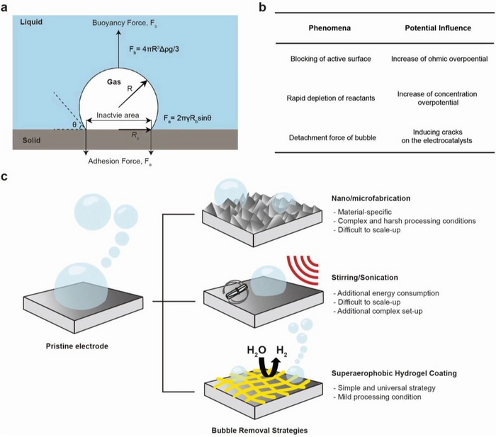 Scheme for a mechanism of bubb [IMAGE] | EurekAlert! Science News Releases