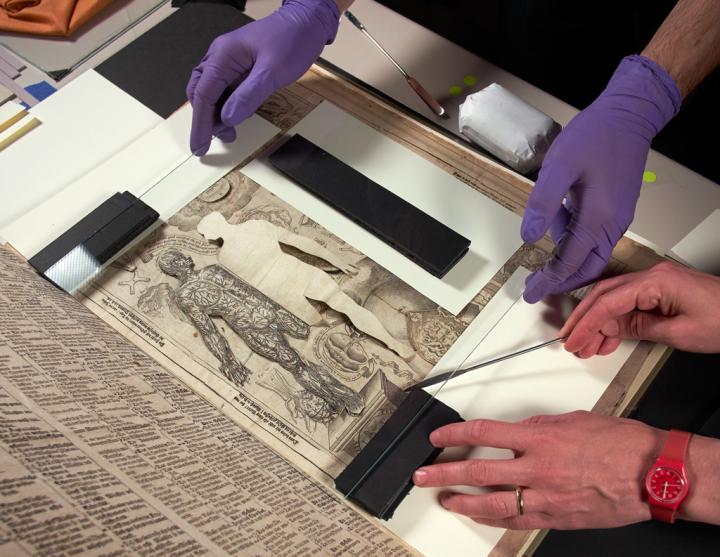 Digitizing a Medical Pop-Up Bo [IMAGE] | EurekAlert! Science News Releases