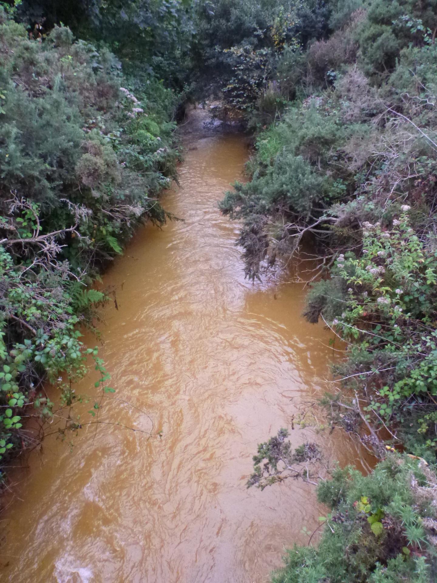 River Hayle, Cornwall, UK [IMAGE] | EurekAlert! Science News Releases