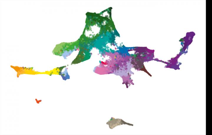 Computational Analysis [IMAGE] | EurekAlert! Science News Releases