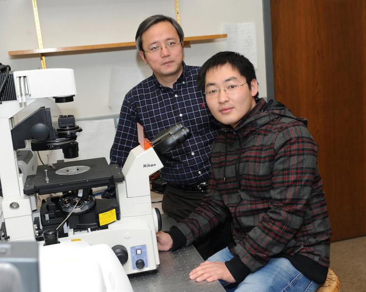 Hanbin Mao and Yue Li, Kent St [IMAGE] | EurekAlert! Science News Releases