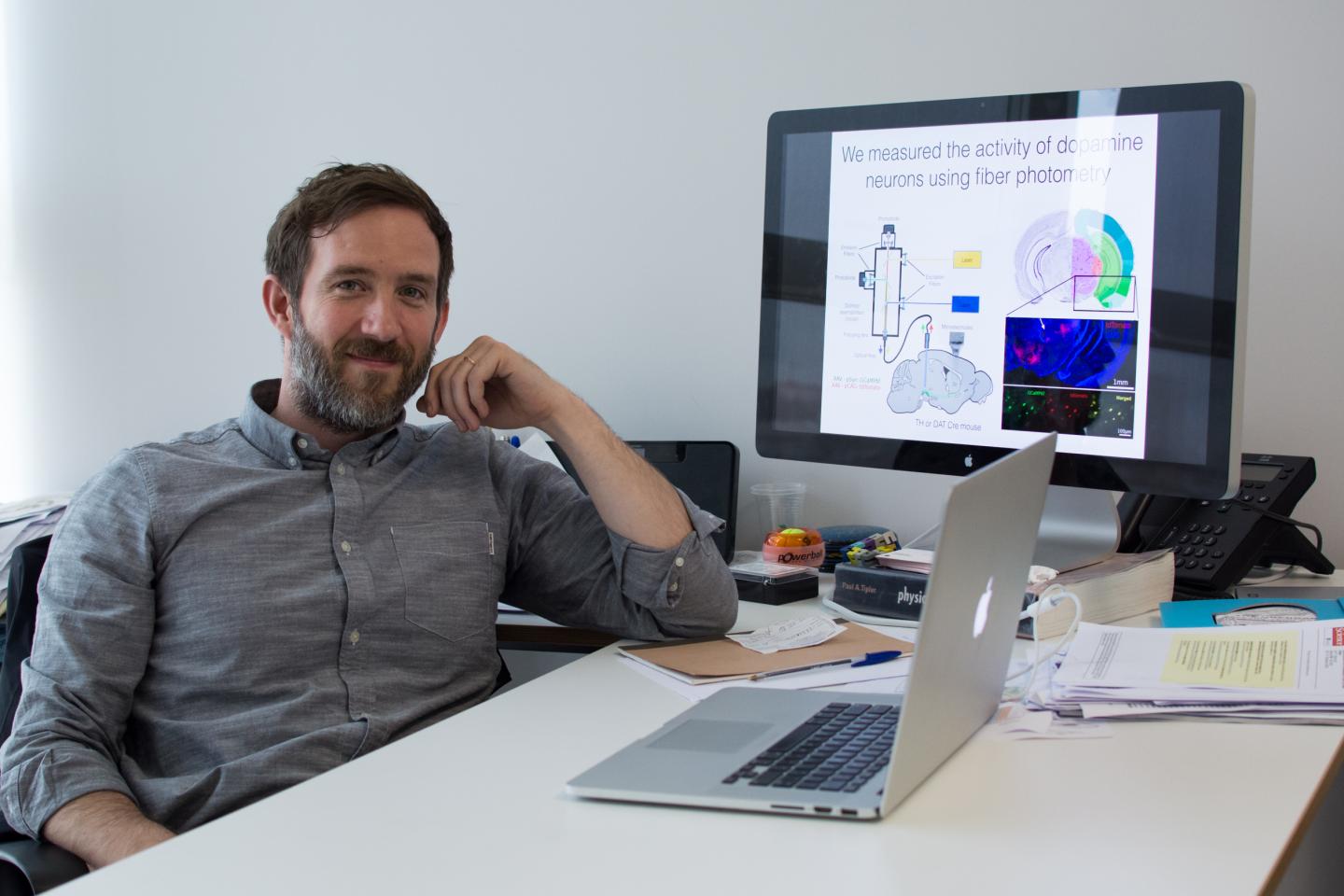 Brain Neurons Help Keep Track [IMAGE] | EurekAlert! Science News Releases