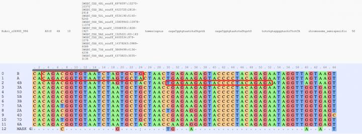 Novel online bioinformatics tool significantl | EurekAlert!