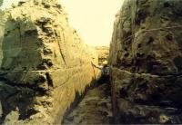 Researchers get $1.25 million to advance carb | EurekAlert!