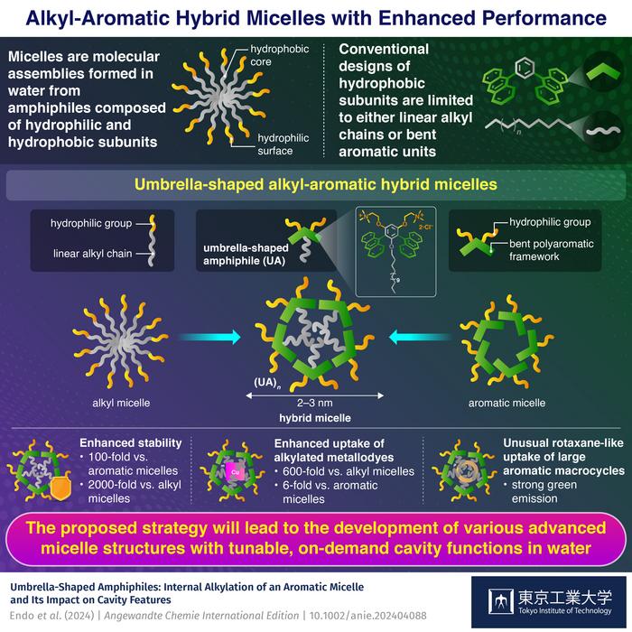 Alkyl-Aromatic Hybrid Micelles [IMAGE] | EurekAlert! Science News Releases