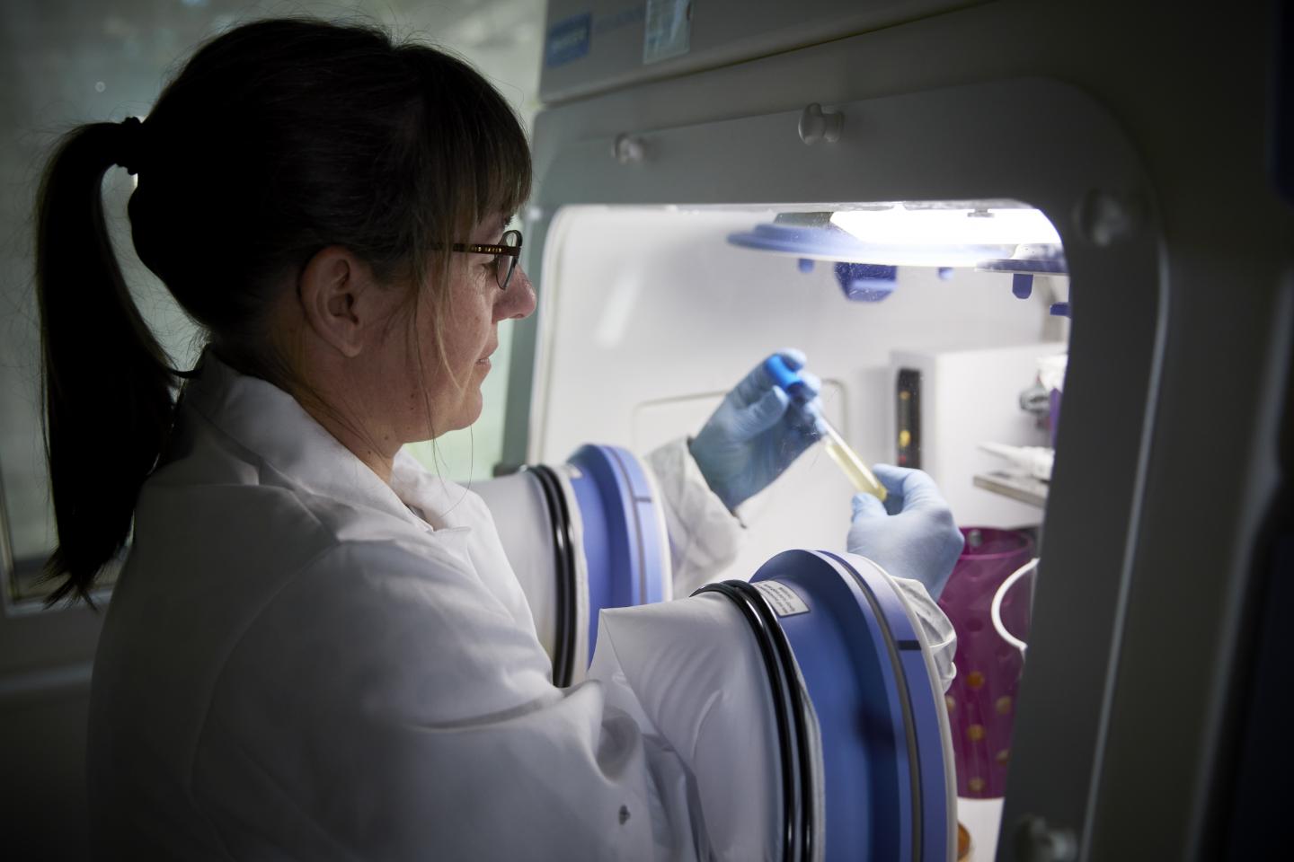 Associate Professor Clarissa S [IMAGE] | EurekAlert! Science News Releases