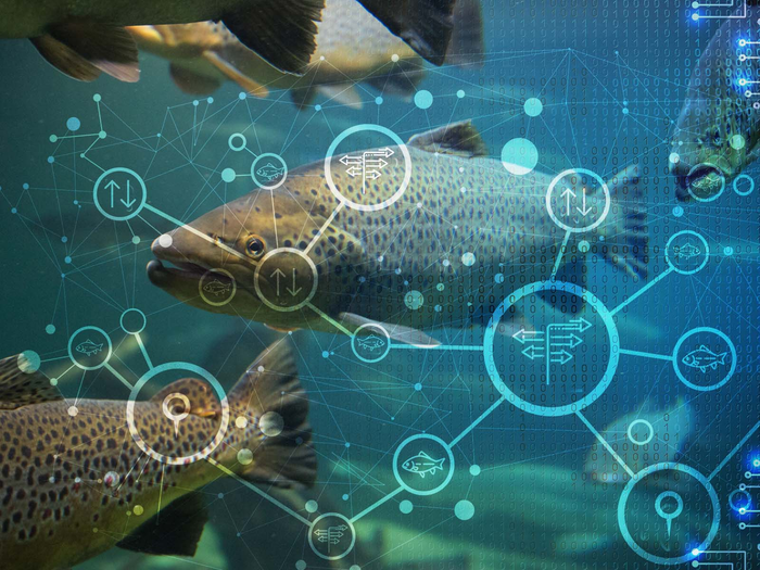 Newly released data show how fish pass throug | EurekAlert!