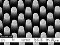 Measuring the footprint of cells | EurekAlert!