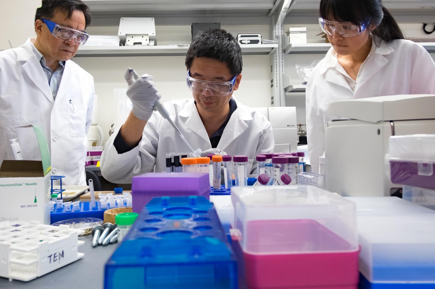 MAGNETIC 3 [IMAGE] | EurekAlert! Science News Releases