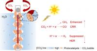 Photocatalytic CO2 reduction at air-liquid-so | EurekAlert!