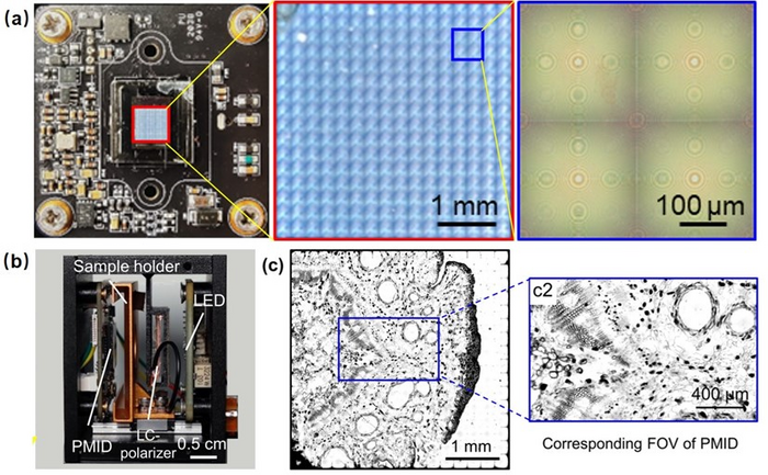 Chip-scale metalens array for [IMAGE] | EurekAlert! Science News Releases
