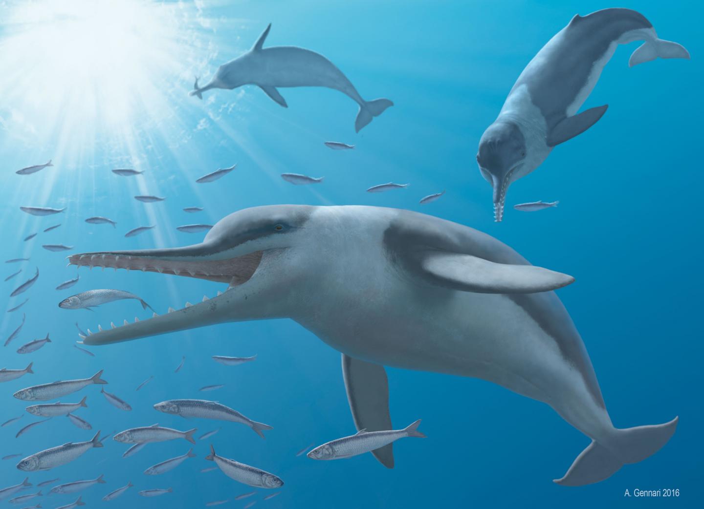 Echovenator 2 [IMAGE] | EurekAlert! Science News Releases