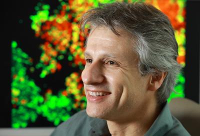 Craig Montell, University of C [IMAGE] | EurekAlert! Science News Releases