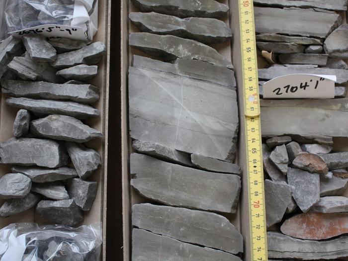 core samples from the Mochras [IMAGE] | EurekAlert! Science News Releases