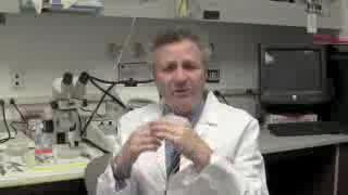 Researchers find potential treatment for Hunt | EurekAlert!