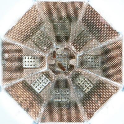 Fly Chamber [IMAGE] | EurekAlert! Science News Releases