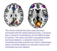 What is your memory style? | EurekAlert!