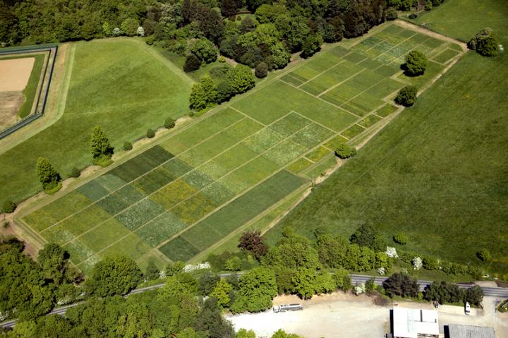 The Rothamsted Research Experi [IMAGE] | EurekAlert! Science News Releases