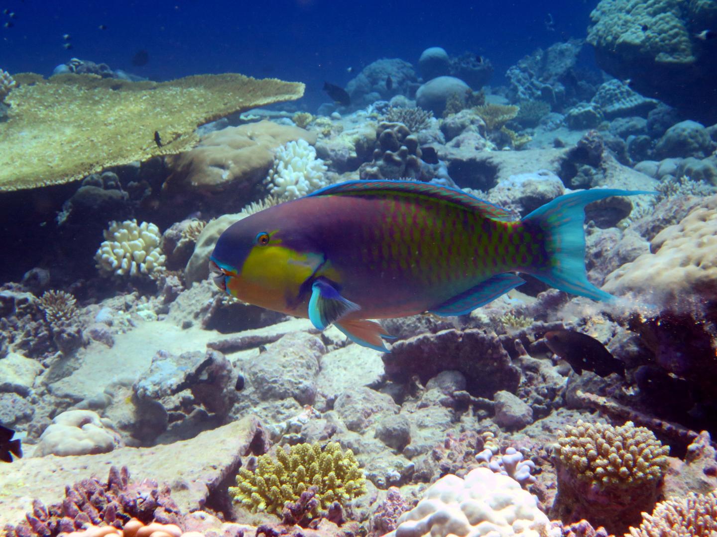 Special Issue: Ocean Climate Change (7 of 21) | EurekAlert!