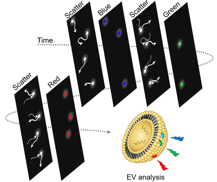 Tracking the movement of a single nanoparticl | EurekAlert!