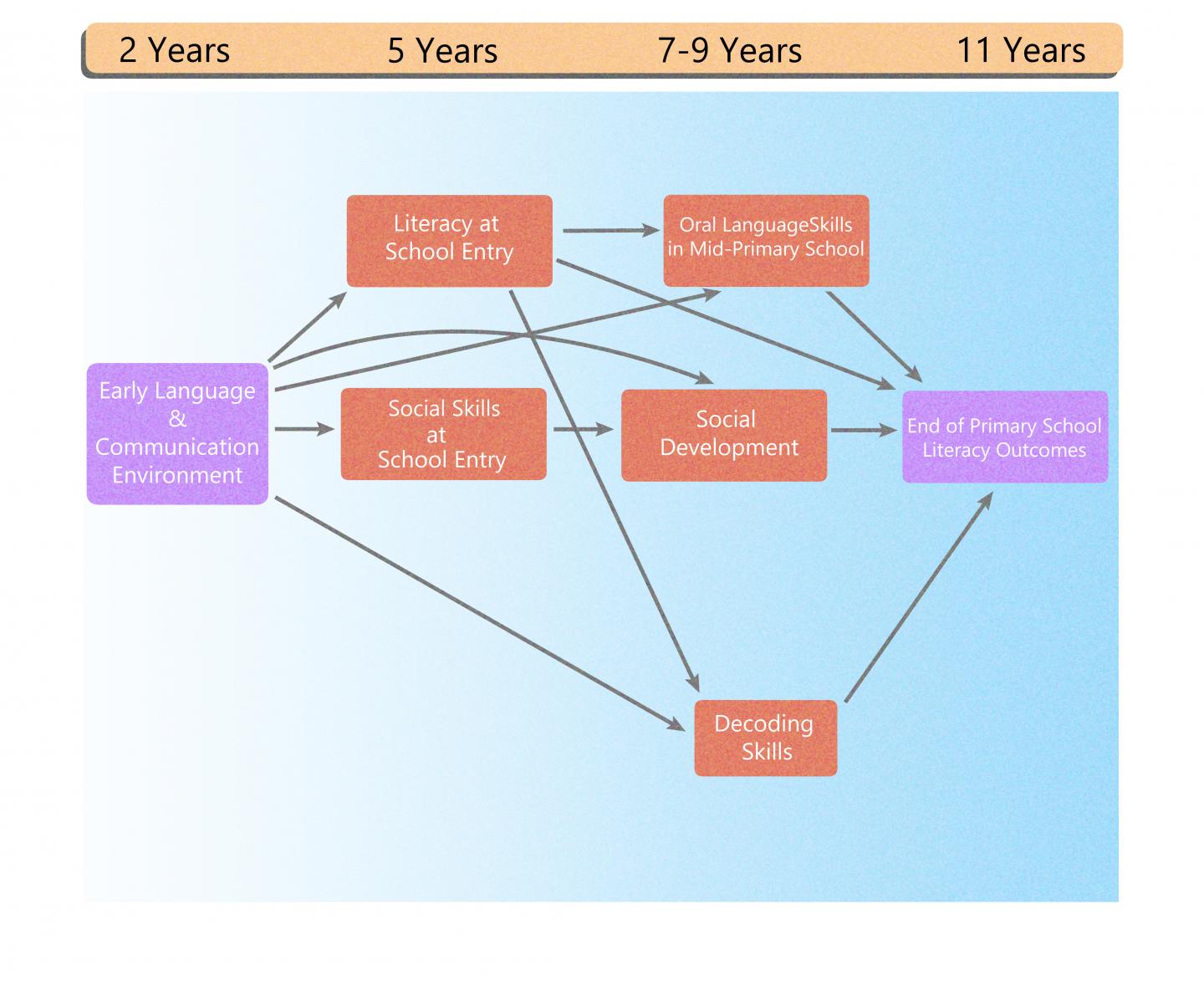 Key learning pathways [IMAGE] | EurekAlert! Science News Releases