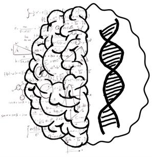 How genetic variation gives rise to differenc | EurekAlert!