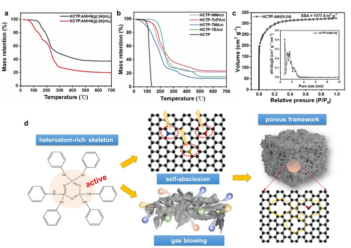 Insight into the possible pore [IMAGE] | EurekAlert! Science News Releases