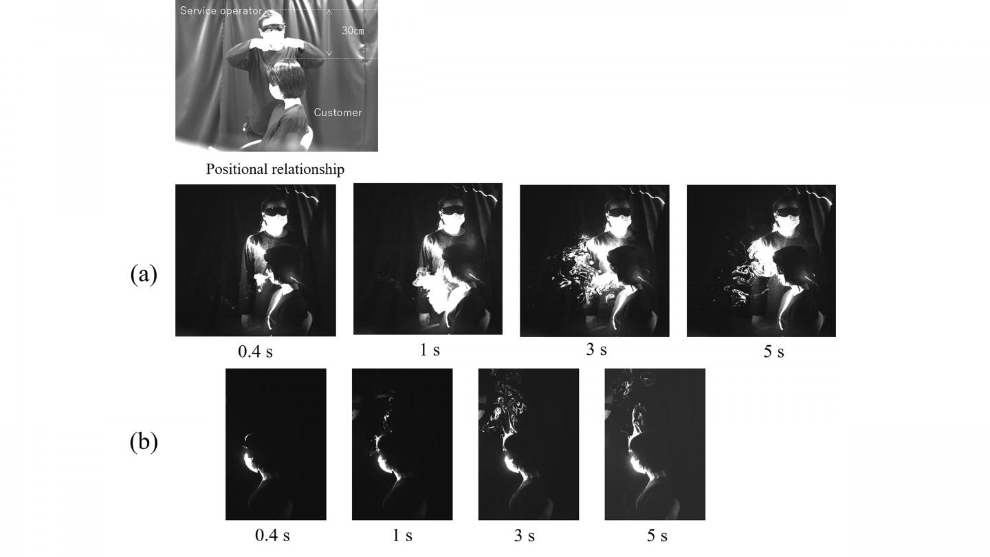 Visualization of airflow patte [IMAGE] | EurekAlert! Science News Releases