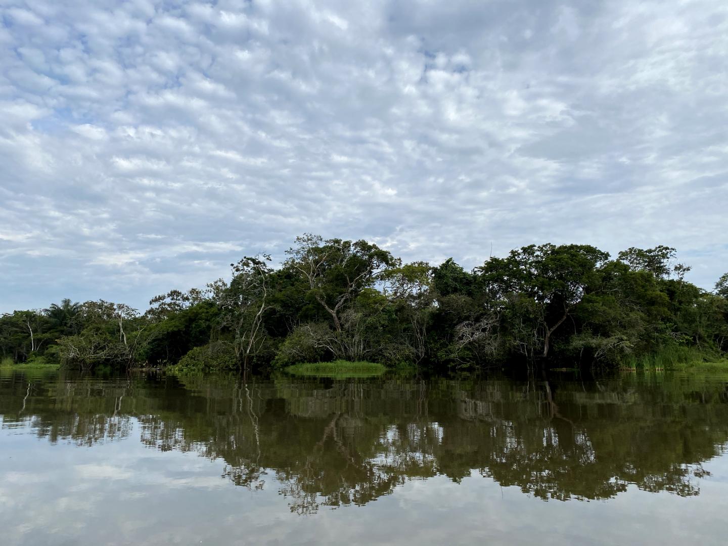 Peruvian Amazonia [IMAGE] | EurekAlert! Science News Releases