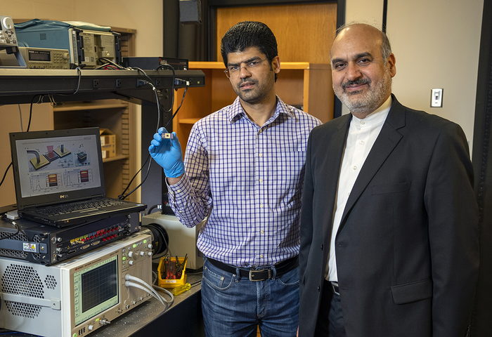 Shaping the future of light through reconfigu | EurekAlert!