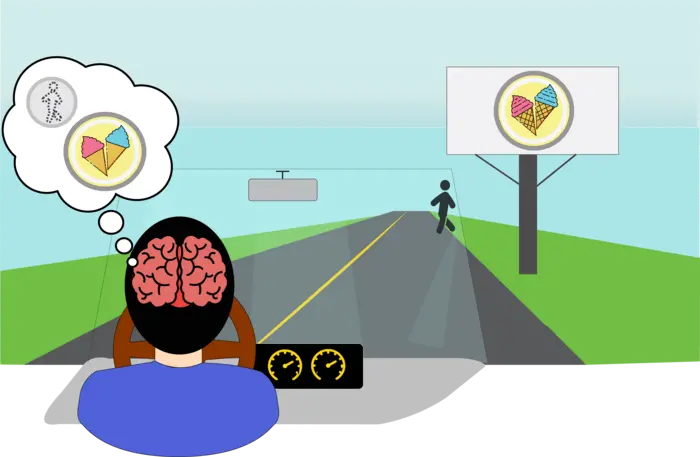 Visual representation of atten [IMAGE] | EurekAlert! Science News Releases
