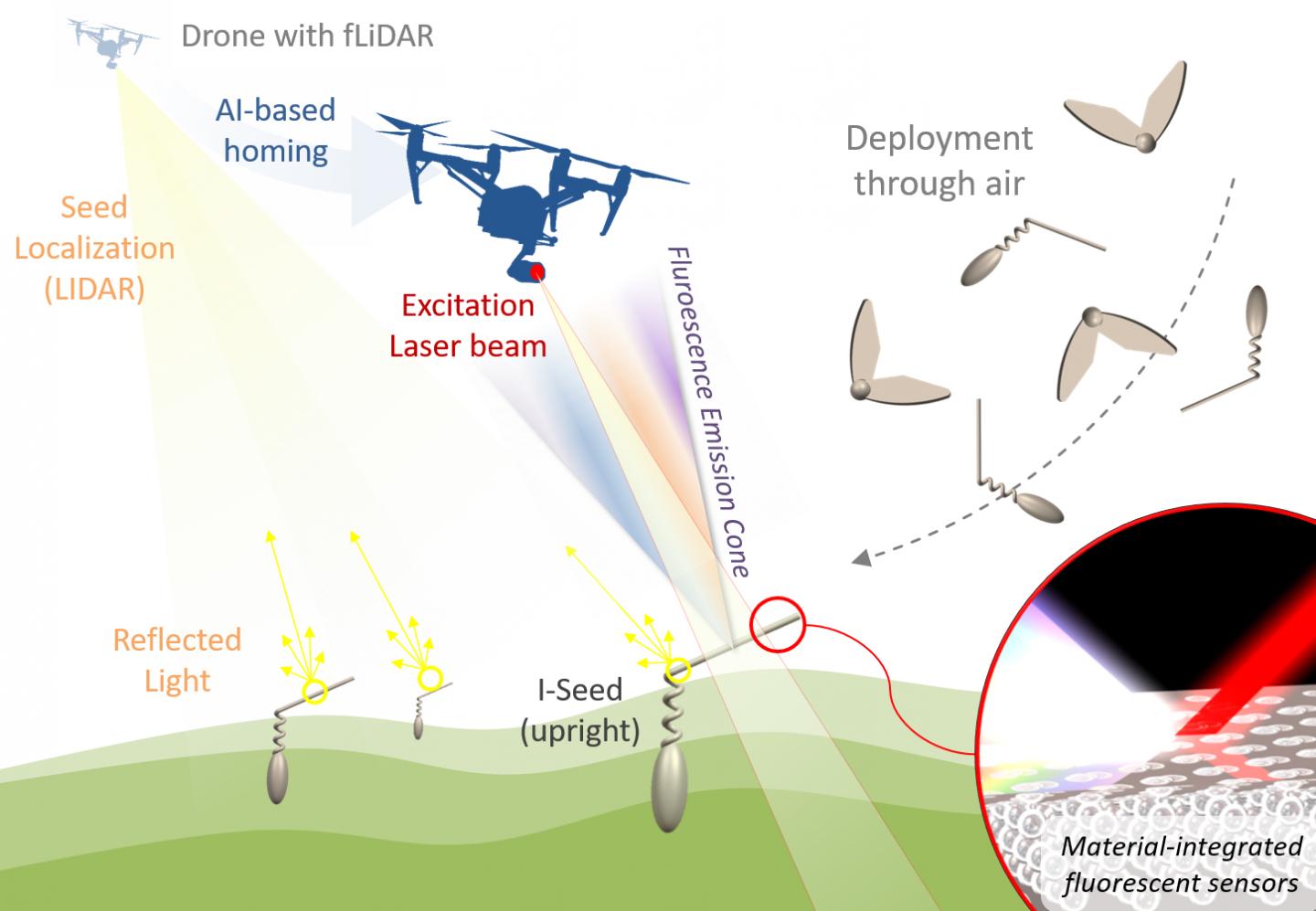 I-Seed project for intelligent biodegradable | EurekAlert!