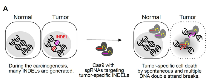 Scientists develop a new platform technology | EurekAlert!