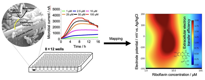 2D visualization [IMAGE] | EurekAlert! Science News Releases