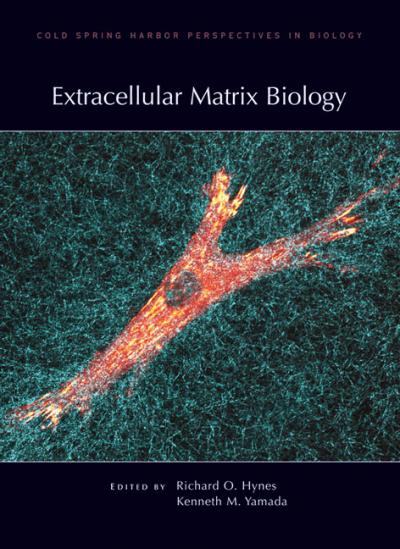 New book on extracellular matrix biology from | EurekAlert!