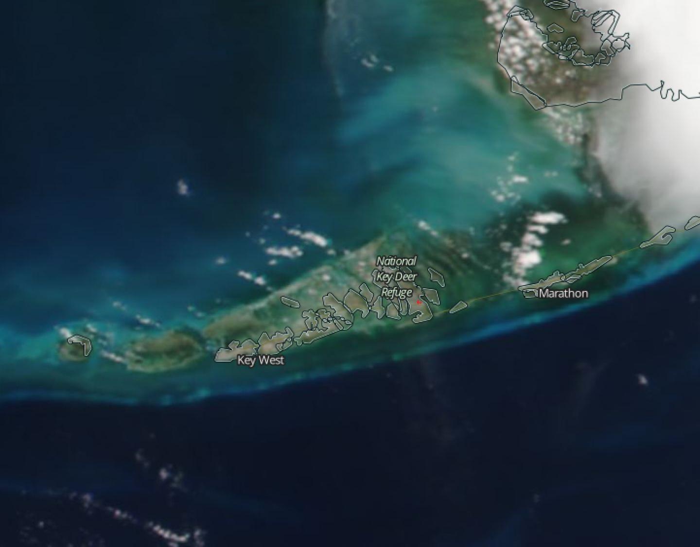 Florida Keys' Big Pine Key Suffers Brush Fire | EurekAlert!